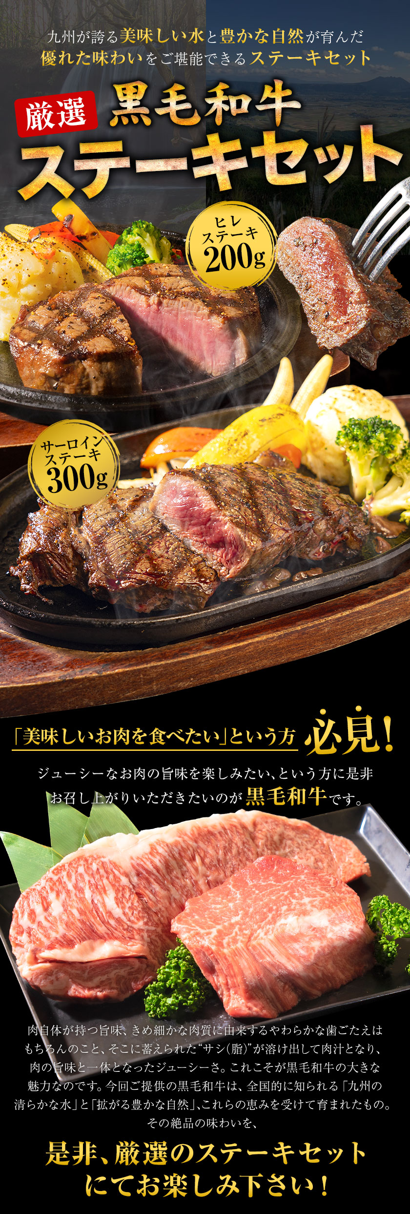国産 黒毛和牛 ステーキセット サーロイン ヒレ | ご当地風土